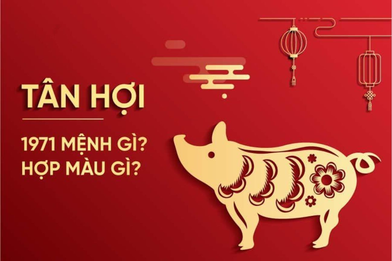 1971 mệnh gì hợp màu gì? Tử vi Tân Hợi - NestCons